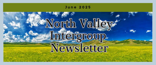 June 2025 NVIG Newsletter - aabutte-glenn.org